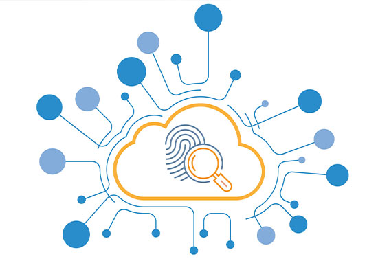 Incident Response - Black Cat Security