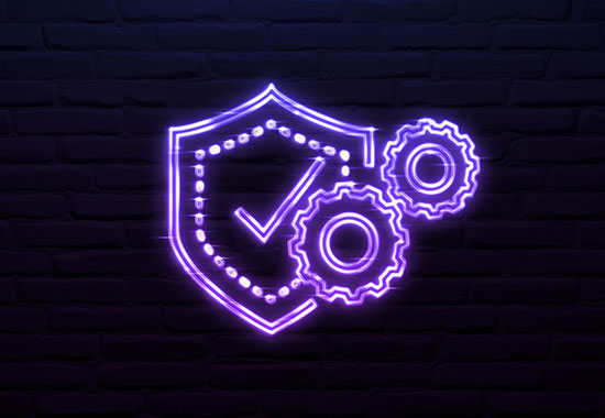 Vulnerability Assessment - Black Cat Security